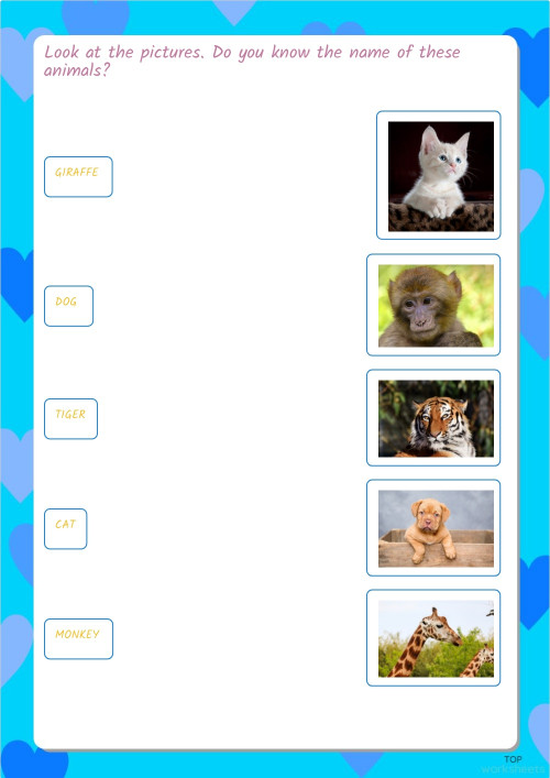 Draw a line from the animal to its name!. Interactive worksheet ...