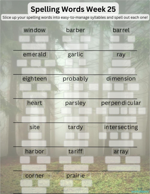 Spelling Words Week 25.3. Interactive worksheet | TopWorksheets