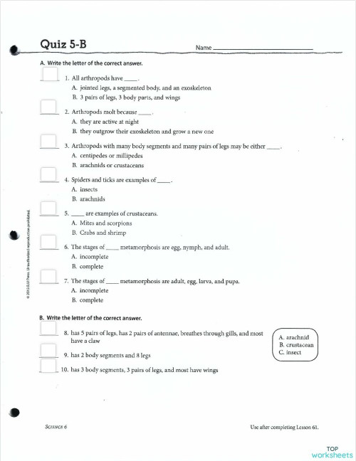 Science Quiz 5-B. Interactive worksheet | TopWorksheets