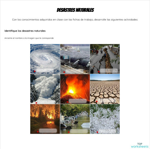 Seres Vivos y Materia Inerte. Ficha interactiva | TopWorksheets