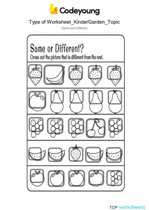 Same different interactive. Interactive worksheet | TopWorksheets