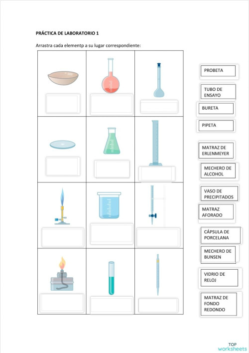 MATERIAL DE LABORATORIO. Ficha interactiva | TopWorksheets