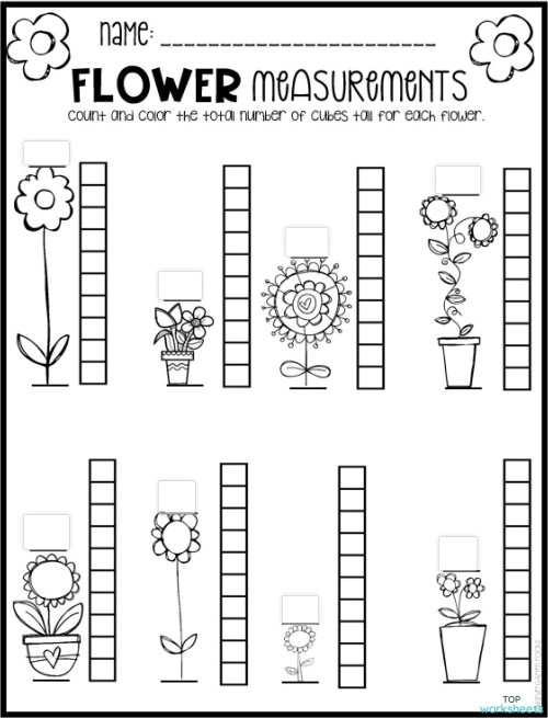 measureplant. Interactive worksheet | TopWorksheets