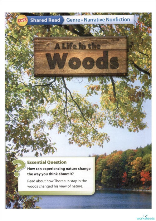 Mini sagas: Read and choose the best title for each mini saga ...