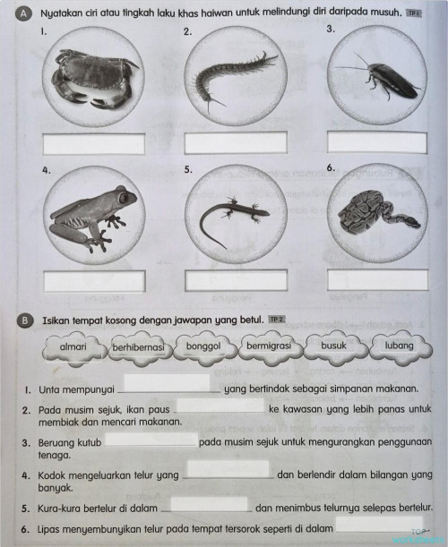 SAINS TAHUN 5 HAIWAN. Interactive worksheet | TopWorksheets