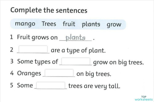Fruit part 1. Interactive worksheet | TopWorksheets
