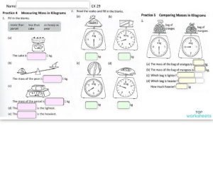 Chapter 10 Mass EX 29. Interactive worksheet | TopWorksheets