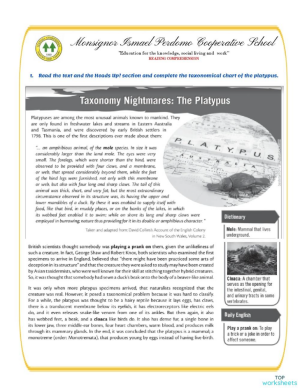 Reading Comprehension - 10th grade.. Ficha interactiva | TopWorksheets