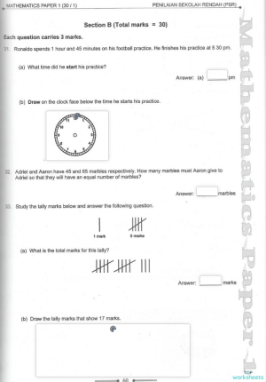 PSR PRACTICE / MATHS 1 / 2013 SECTION B. Interactive worksheet ...