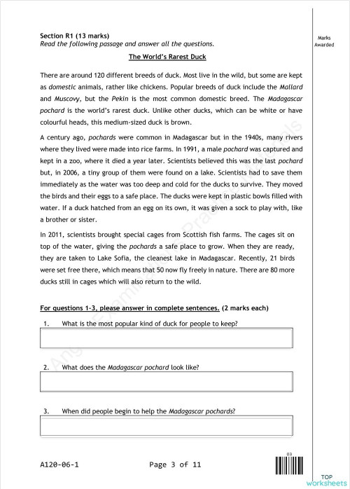 AA120 READING. Ficha interactiva | TopWorksheets