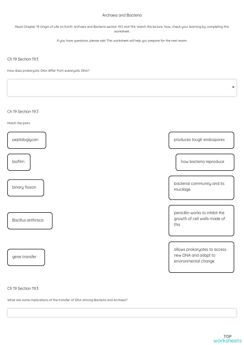 Archaea and Bacteria. Interactive worksheet | TopWorksheets