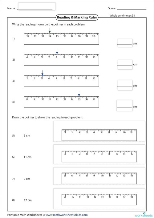 Length and Area Assessment Term 3. Interactive worksheet | TopWorksheets