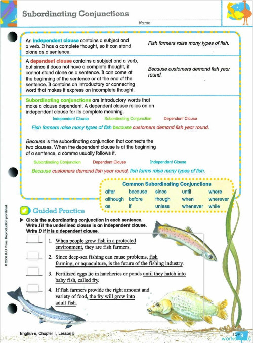 Subordinating Conjunctions Pg 9. Interactive worksheet | TopWorksheets