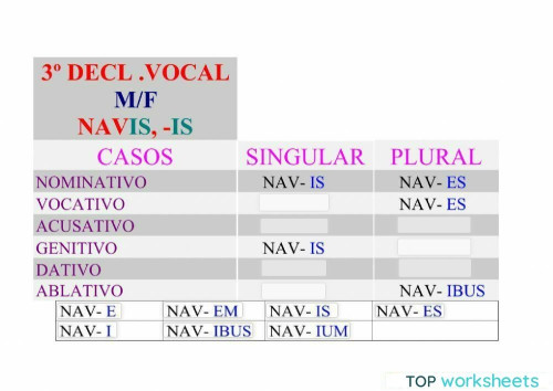 3ª Declinación Vocal. Ficha interactiva | TopWorksheets