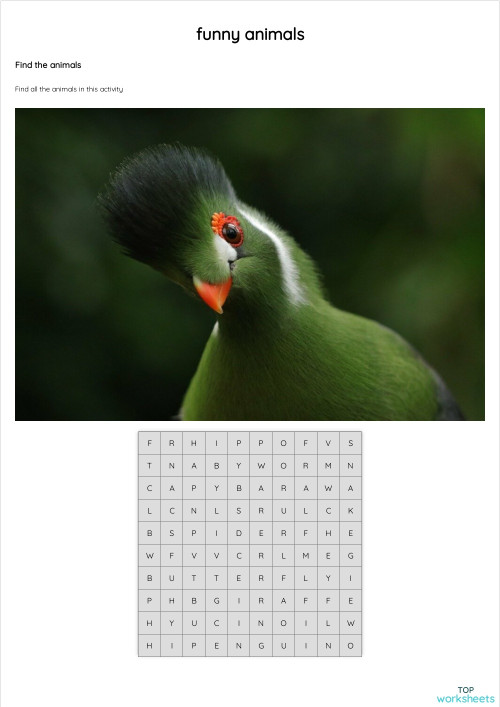 funny animals. Ficha interactiva | TopWorksheets