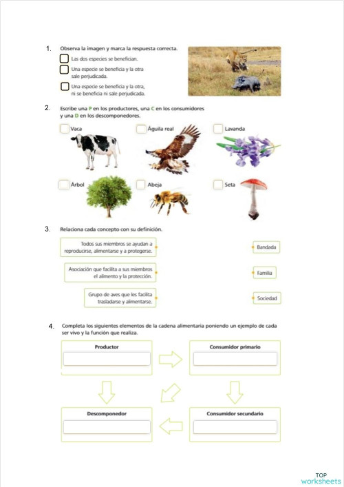 Unidad 3: Las relaciones entre los seres vivos y los ecosistemas. Ficha ...