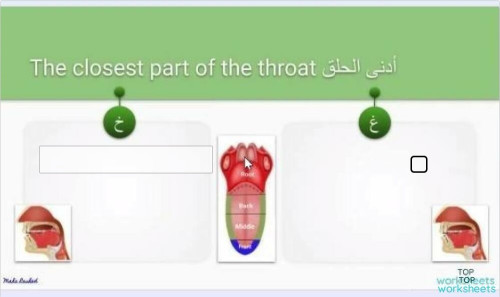 point of articulation for Arabic letters. Interactive worksheet ...