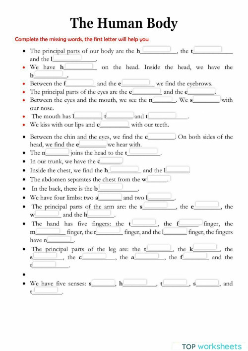 Parts of the body. Interactive worksheet | TopWorksheets
