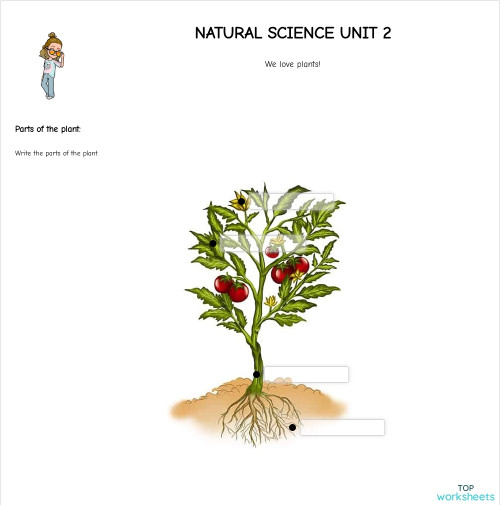 NATURAL SCIENCE UNIT 2. Interactive worksheet | TopWorksheets