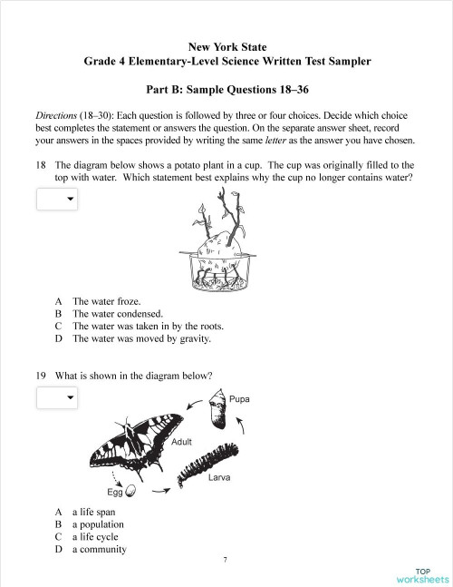 Biology: interactive worksheets and online exercises | TopWorksheets
