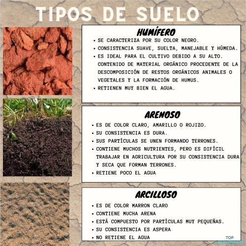 Tipos de suelo. Ficha interactiva | TopWorksheets