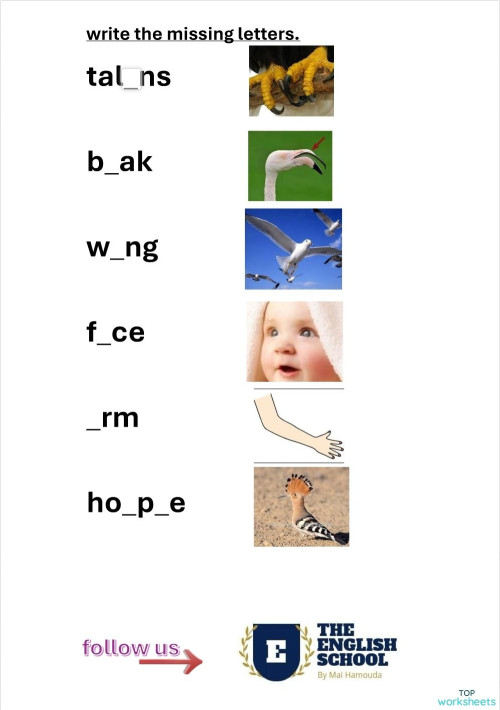 apostrophes 's- Writing unit 3. Interactive worksheet | TopWorksheets
