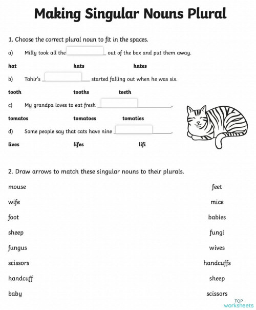 Singular and Plural Nouns. Interactive worksheet | TopWorksheets