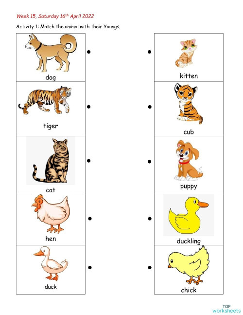 Animal and its young. Interactive worksheet | TopWorksheets