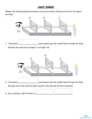 Light Energy. Interactive worksheet | TopWorksheets