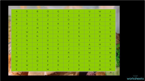 แบบฝึกทักษะที่ 6 ใบงานเชิงโต้ตอบ | TopWorksheets