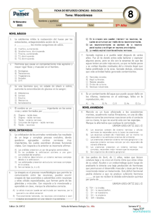 FICHA 5TO SEM 8 IV BIM. Ficha interactiva | TopWorksheets