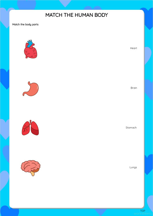 MATCH THE HUMAN BODY. Ficha interactiva | TopWorksheets