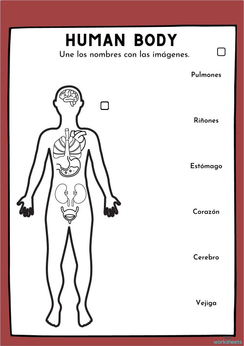 Prueba topworksheets. Ficha interactiva | TopWorksheets