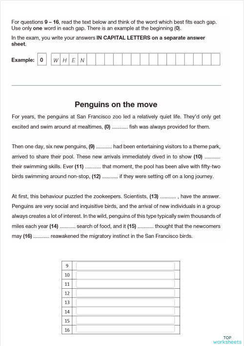 B2 FIRST PT+1 USE OF ENGLISH PART 2. Interactive worksheet | TopWorksheets