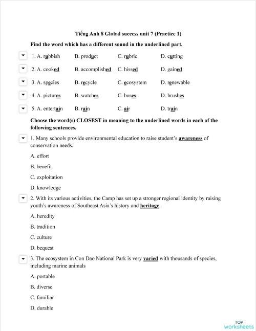 E8_Unit 7_Practice 2. Interactive worksheet | TopWorksheets