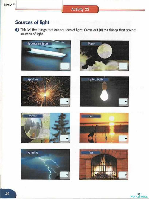 Activity 22: Sources of light. Interactive worksheet | TopWorksheets