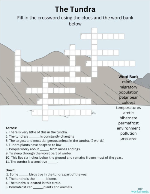 The Tundra. Interactive worksheet | TopWorksheets