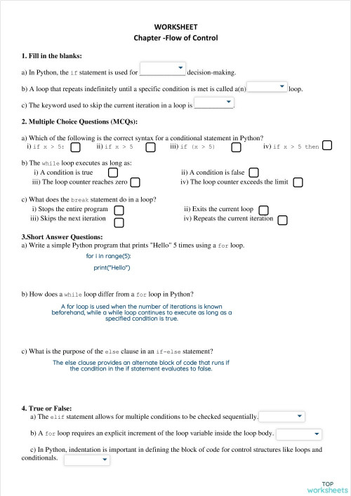 WORKSHEET -Python (Flow of Control). Interactive worksheet | TopWorksheets