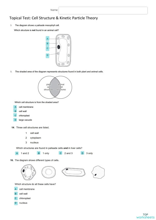 Topical Test: Cell Sturucture. Interactive worksheet | TopWorksheets