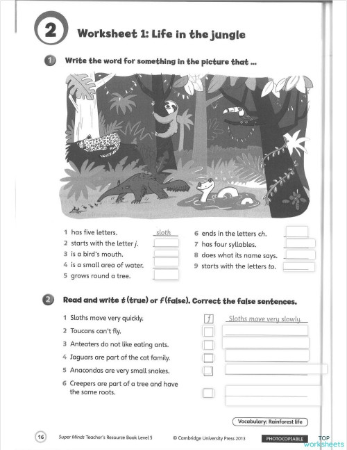 SM5 Unit2 Worksheet1. Interactive worksheet | TopWorksheets