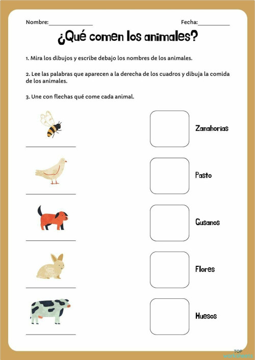 FICHA ¿QUÉ COMEN LOS ANIMALES. Ficha interactiva | TopWorksheets