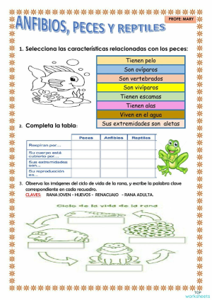 Anfibios, reptiles y peces. Ficha interactiva | TopWorksheets