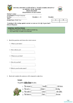 Diagnostic Evaluation 9th. Ficha interactiva | TopWorksheets