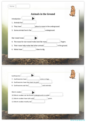 Animals in the Ground. Interactive worksheet | TopWorksheets