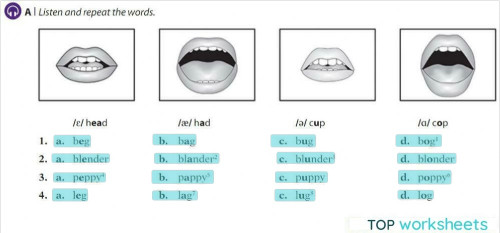AP1unit6page26. Interactive worksheet | TopWorksheets