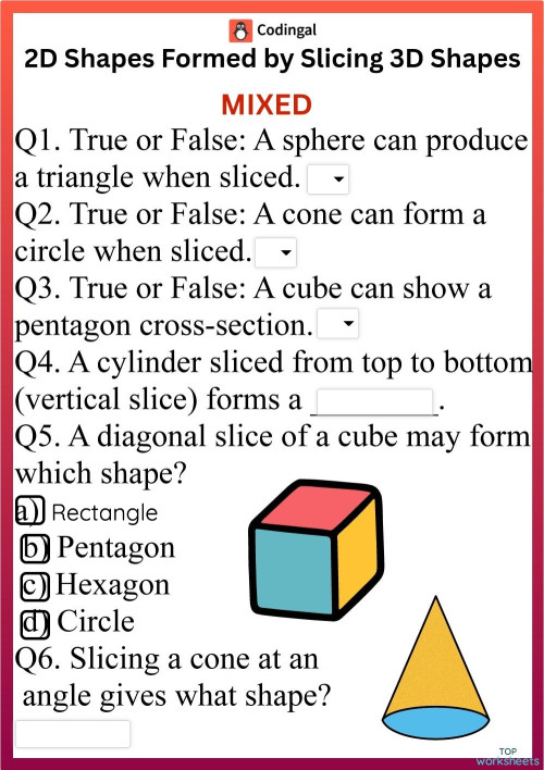 M_G07M15L55_WA02_Types of 2D shapes formed on slicing various 3D shapes ...