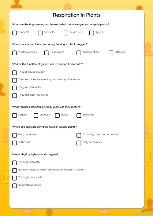 Alfabett Malti. Interactive worksheet | TopWorksheets