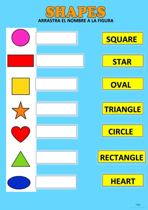 THE SHAPES. Interactive worksheet | TopWorksheets