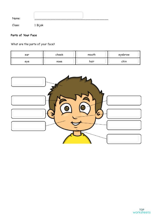Week 4: Parts of our face. Interactive worksheet | TopWorksheets