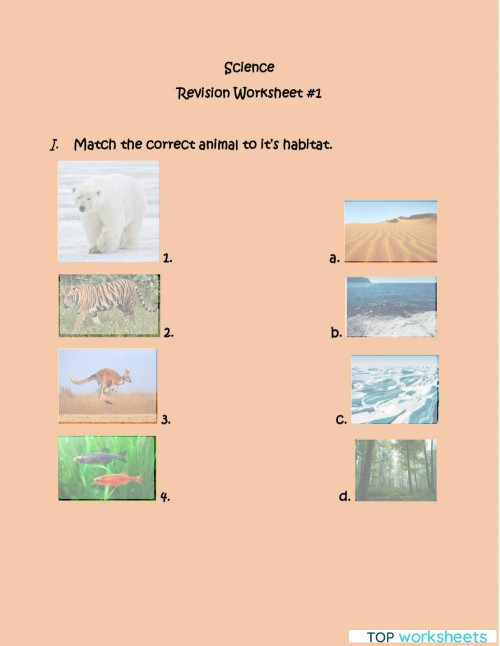 Science Revision Worksheet 1-. Interactive worksheet | TopWorksheets
